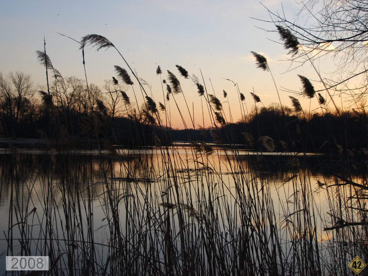 Bellmawr Timber Creek Waterfront Park To Start Development 2026 ...